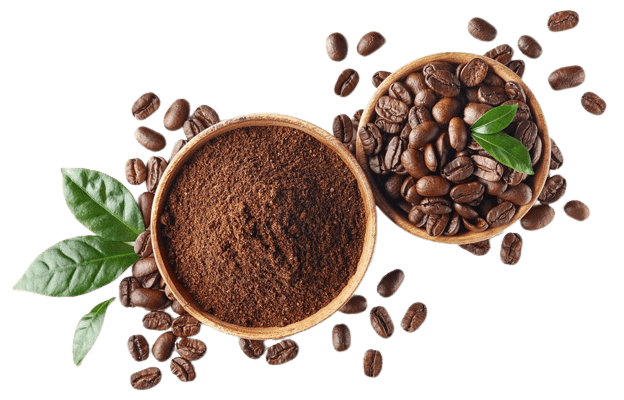 AnaCafe – Sitio web de AnaCafe